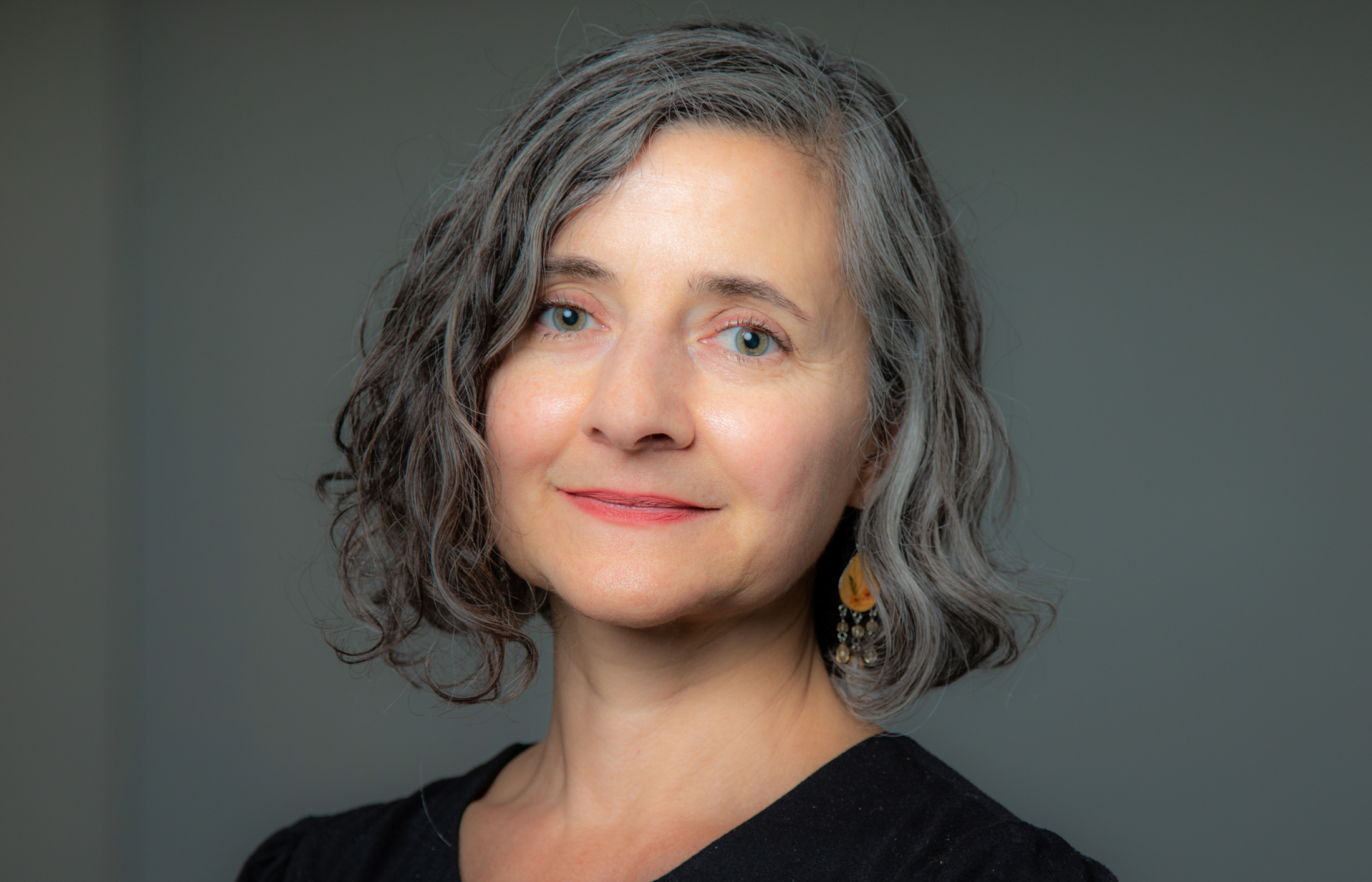 Leadership in Government Fellowship - Open Society Foundations